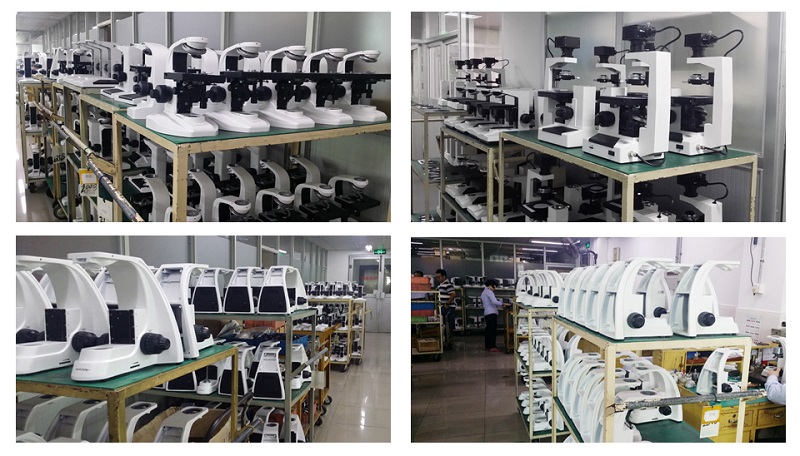 Microscope factory implement ISO 9001 standard-Shenzhen Boshida Optical ...
