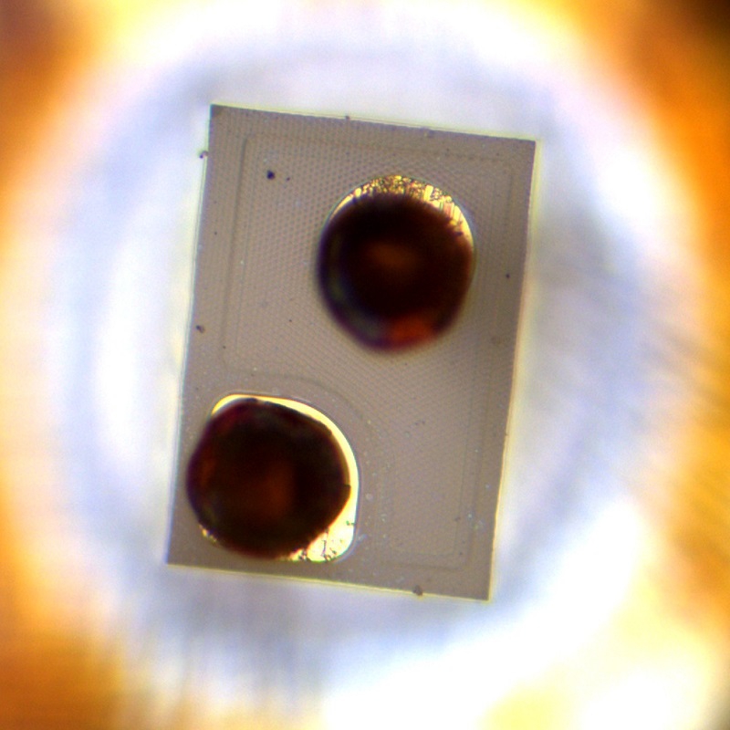 BD-40 infinity parfocal microscope Metallurgical Reflected light ...